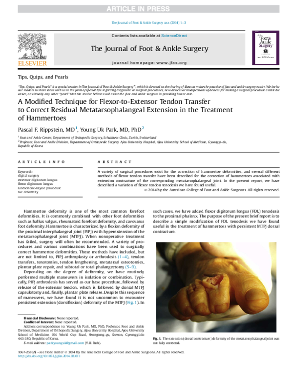 (PDF) A Modified Technique for Flexor-to-Extensor Tendon Transfer to ...