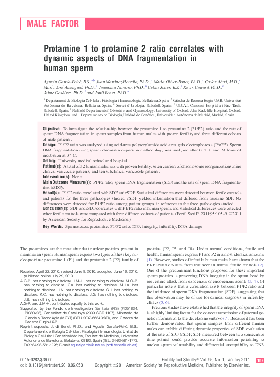 (PDF) Protamine 1 to protamine 2 ratio correlates with dynamic aspects ...