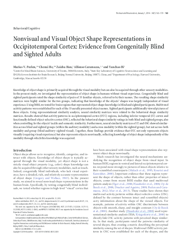 (PDF) Nonvisual and Visual Object Shape Representations in ...