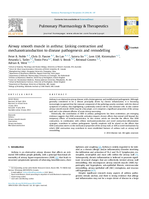 (PDF) Airway smooth muscle in asthma: Linking contraction and ...