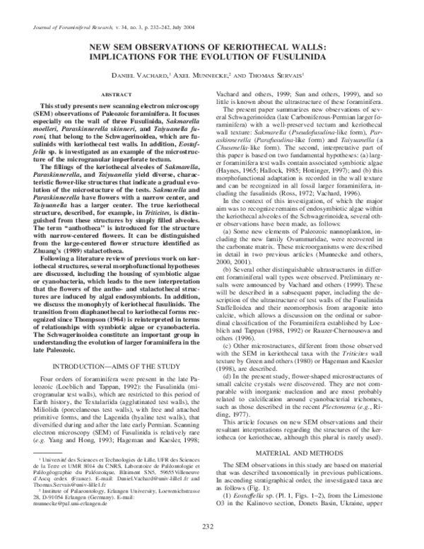 (PDF) NEW SEM OBSERVATIONS OF KERIOTHECAL WALLS: IMPLICATIONS FOR THE ...
