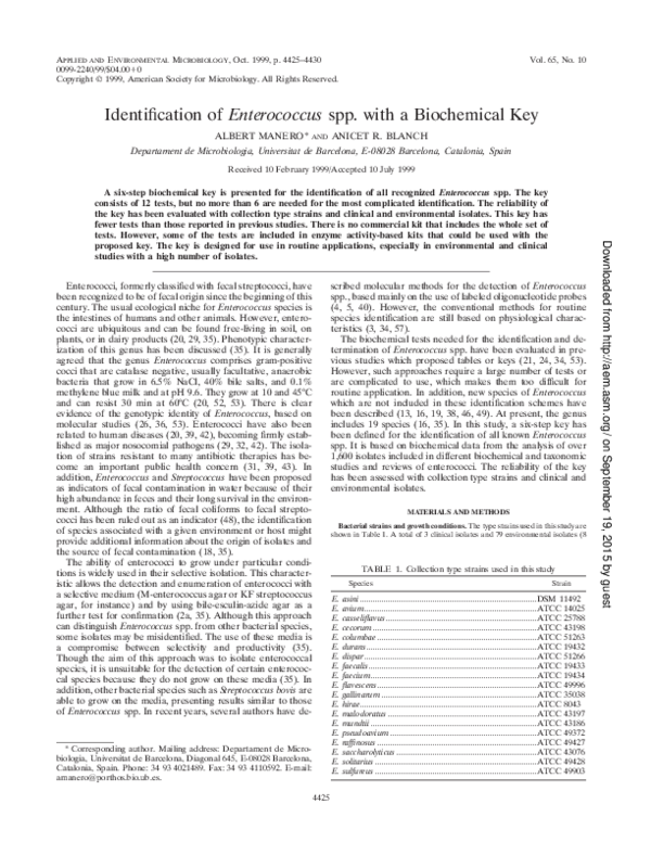(PDF) Identification of Enterococcus spp. with a Biochemical Key