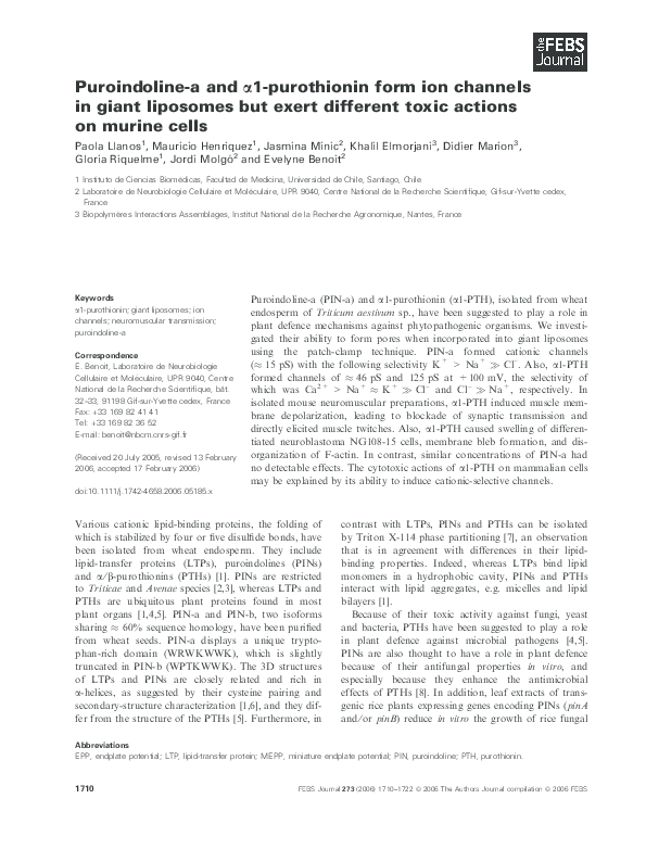 (PDF) Puroindoline-a and alpha1-purothionin form ion channels in giant ...