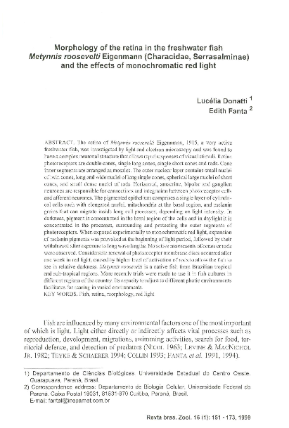 (PDF) Morphology of the retina in the freshwater fish Metynnis ...
