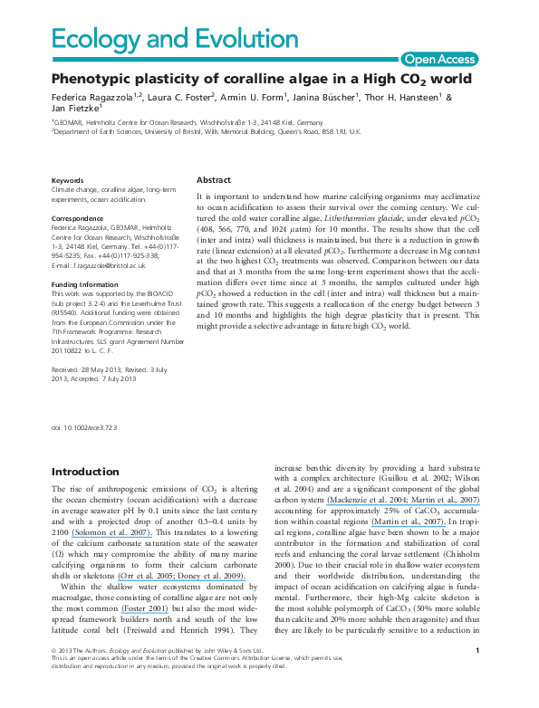 (PDF) Phenotypic plasticity of coralline algae in a High CO2 world