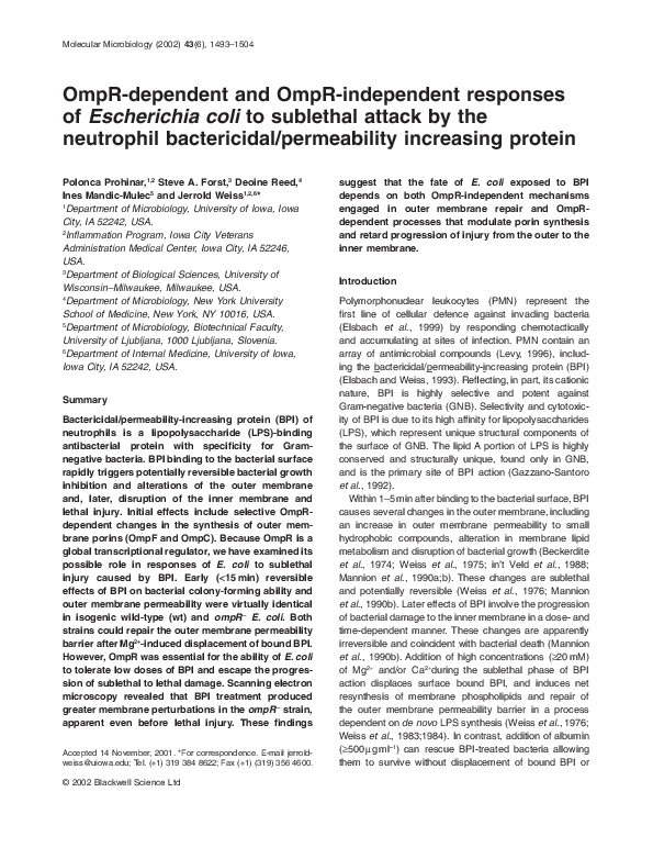 (PDF) OmpR-dependent and OmpR-independent responses of Escherichia coli ...