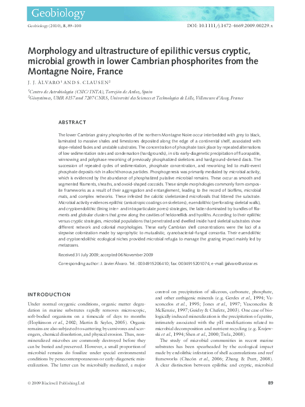 (PDF) Morphology and ultrastructure of epilithic versus cryptic ...