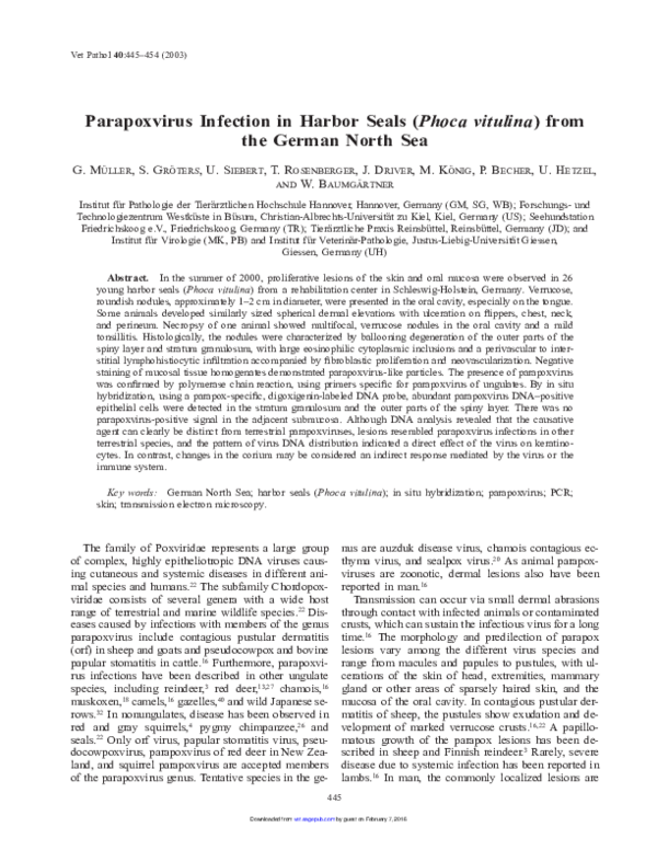 (PDF) Parapoxvirus Infection in Harbor Seals (Phoca vitulina) from the ...