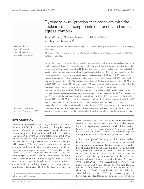 (PDF) Cytomegaloviral proteins that associate with the nuclear lamina ...