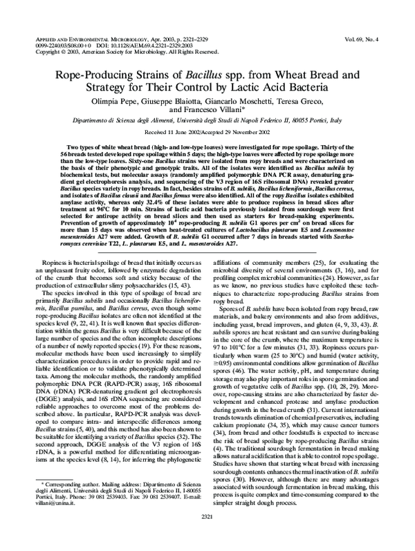 (PDF) Rope-Producing Strains of Bacillus spp. from Wheat Bread and ...