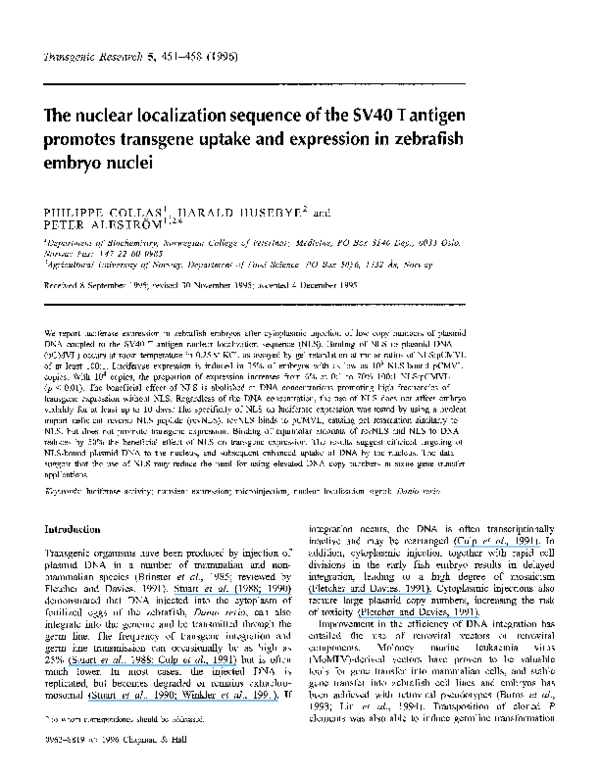 (PDF) The nuclear localization sequence of the SV40 T antigen promotes ...