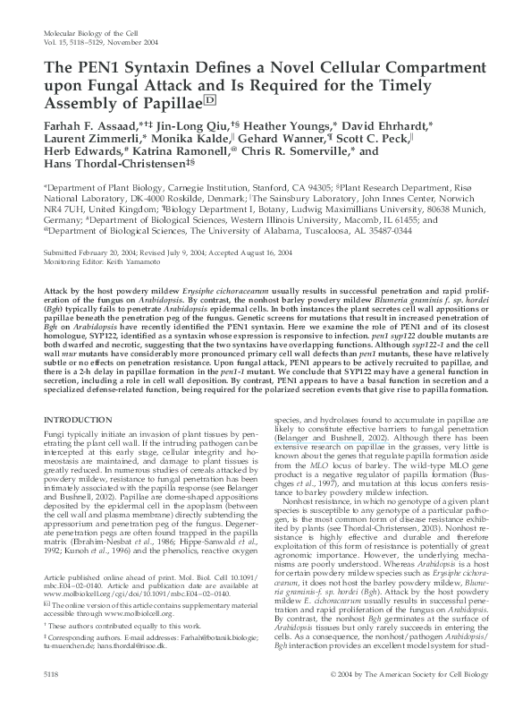 (PDF) The PEN1 syntaxin defines a novel cellular compartment upon ...