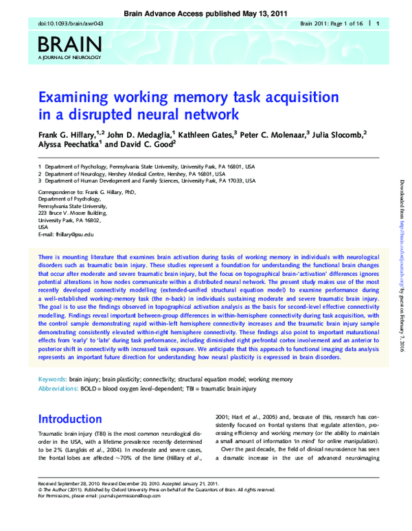 (PDF) Examining working memory task acquisition in a disrupted neural network