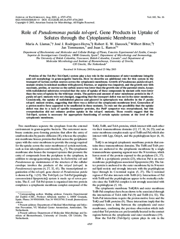(PDF) Role of Pseudomonas putida tol-oprL Gene Products in Uptake of ...