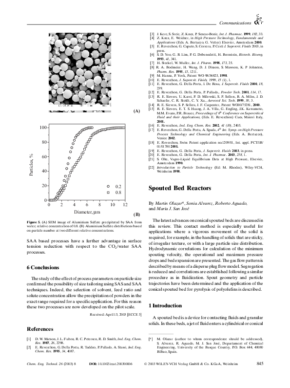 (PDF) Spouted Bed Reactors
