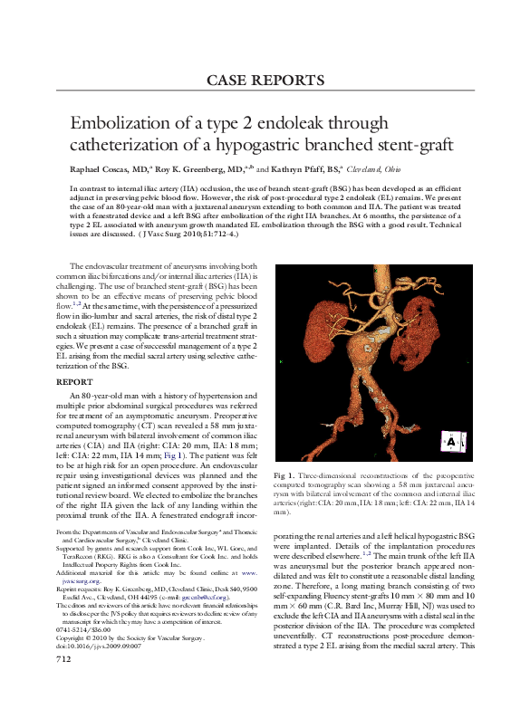 (PDF) Embolization of a type 2 endoleak through catheterization of a ...