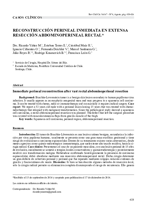(PDF) RECONSTRUCCIÓN PERINEAL INMEDIATA EN EXTENSA RESECCIÓN ...