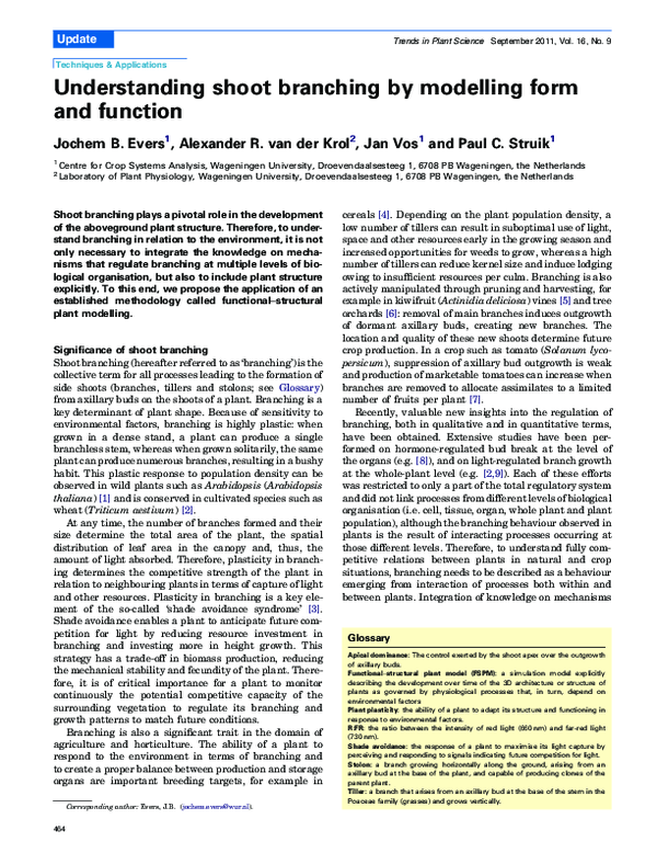 (PDF) Understanding shoot branching by modelling form and function