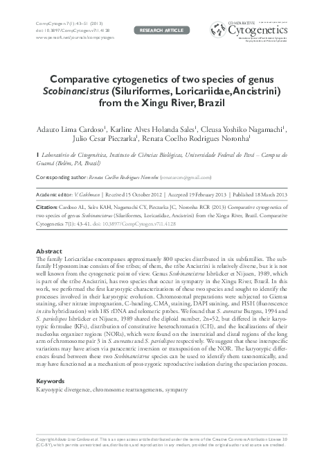 (PDF) Karyotypic similarities between two species of Rhamphichthys ...