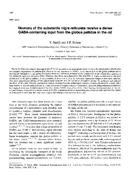(PDF) Neurons of the substantia nigra reticulata receive a dense GABA ...