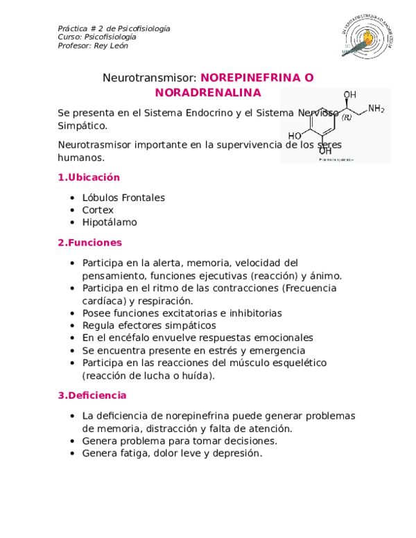 (DOC) Neurotransmisor Norepinefrina | Marianella Rodríguez - Academia.edu