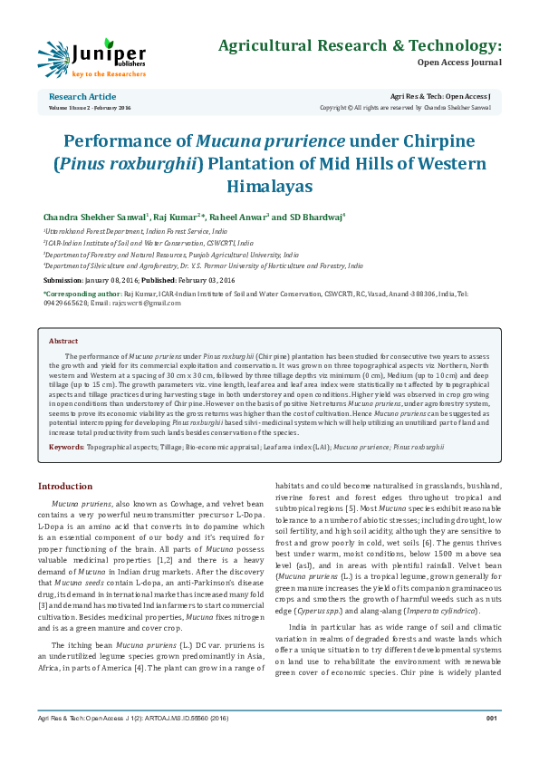 (PDF) Performance of Mucuna prurience under Chirpine (Pinus roxburghii ...
