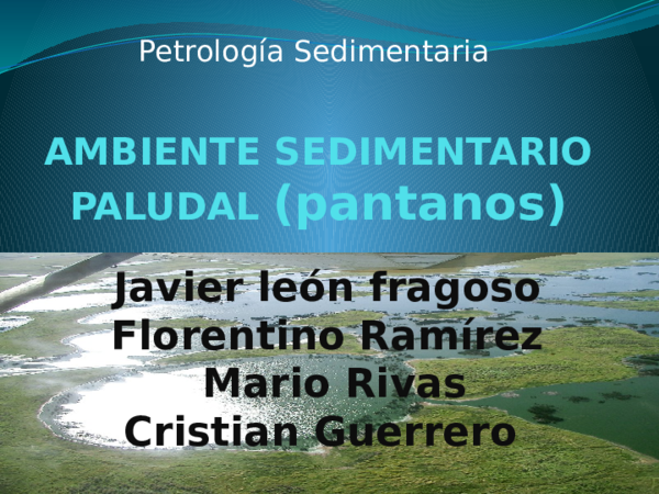 (PPT) Ambiente paludal (pantanos)