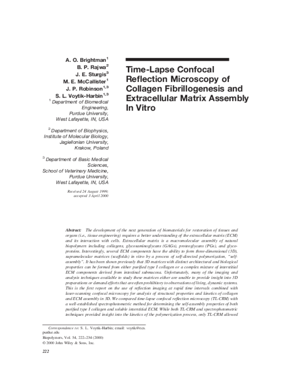 (PDF) Time‐lapse confocal reflection microscopy of collagen ...