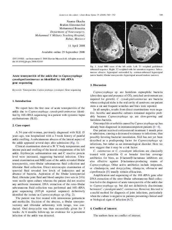 (PDF) Acute tenosynovitis of the ankle due to Capnocytophaga cynodegmi ...