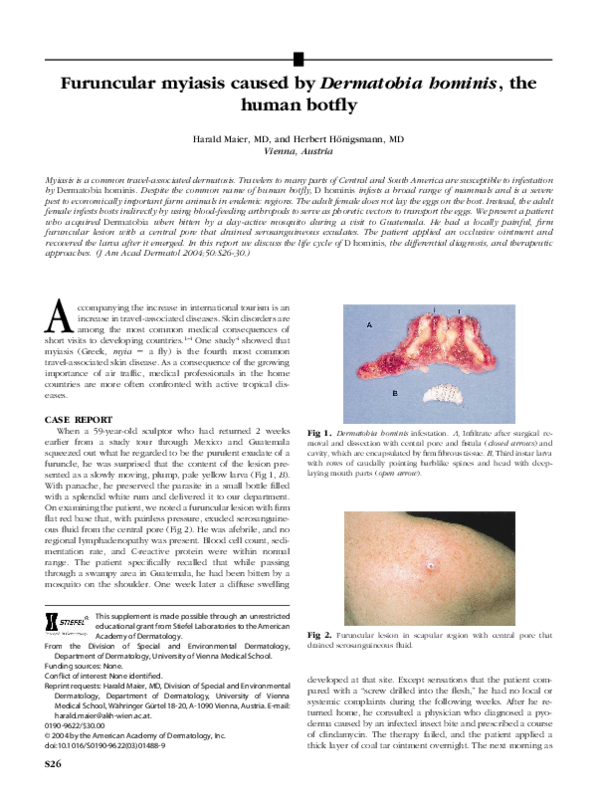 (PDF) Furuncular myiasis caused by Dermatobia hominis, the human botfly ...