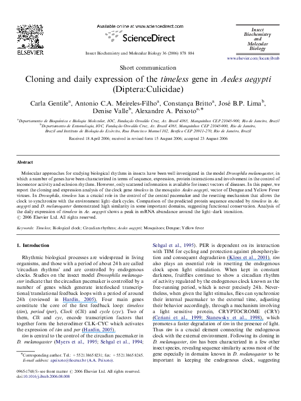 (PDF) Cloning and daily expression of the timeless gene in Aedes ...