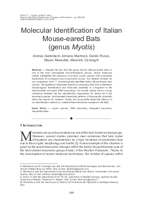(PDF) Molecular Identification of Italian Mouse-eared Bats (genus Myotis)