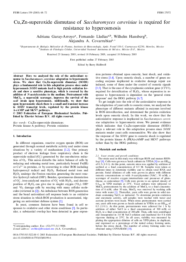(PDF) Cu,Zn-superoxide dismutase of Saccharomyces cerevisiae is ...
