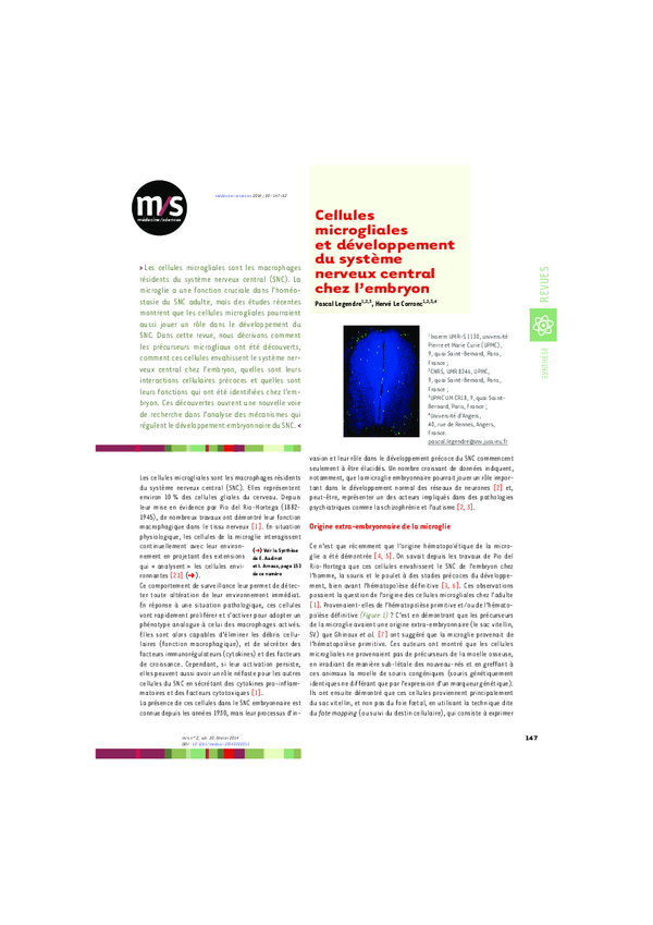 (PDF) Cellules microgliales et développement du système nerveux central ...