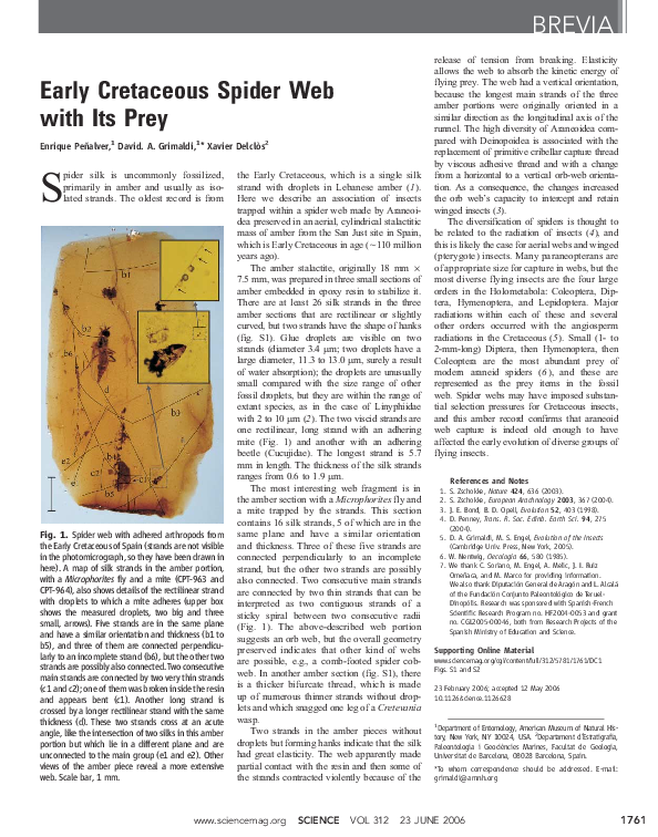 Early Cretaceous Spider Web with Its Prey