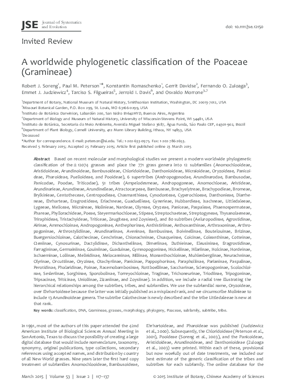 (PDF) A worldwide phylogenetic classification of the Poaceae (Gramineae)