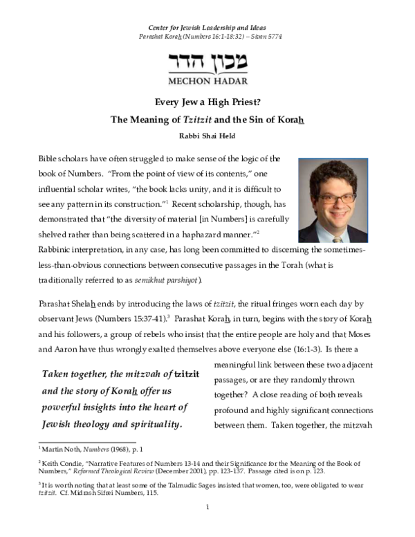 (PDF) Every Jew a High Priest? The Meaning of Tzitzit and the Sin of Korah