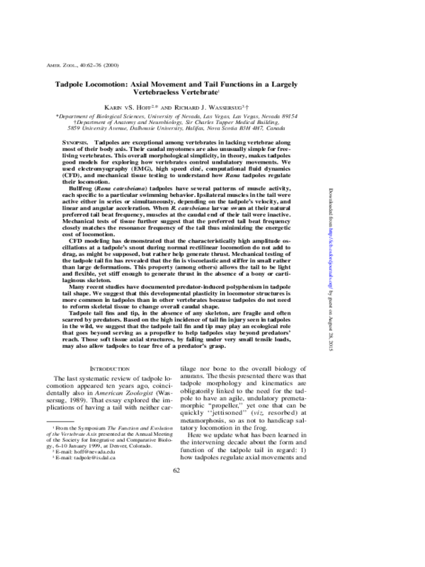 (PDF) Tadpole Locomotion: Axial Movement and Tail Functions in a ...