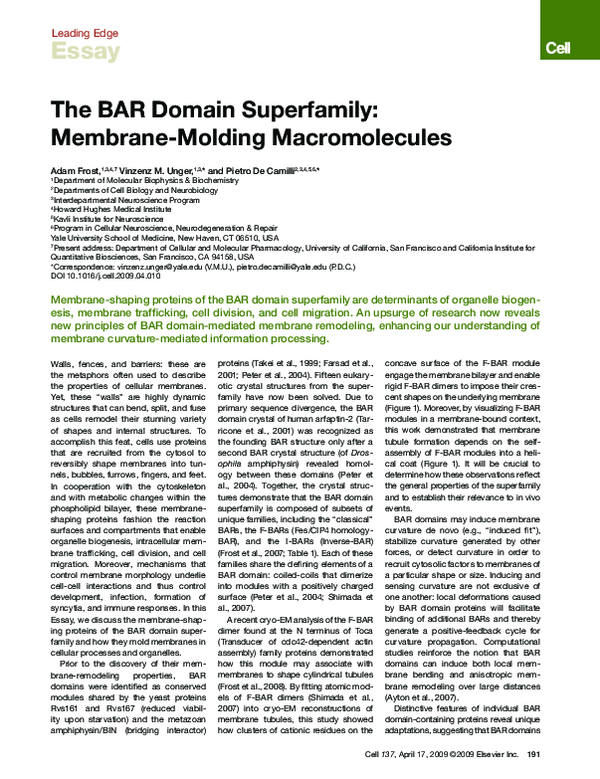 (PDF) The BAR Domain Superfamily: Membrane-Molding Macromolecules