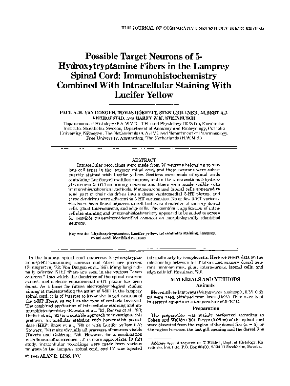 (PDF) Possible target neurons of 5-hydroxytryptamine fibers in the ...