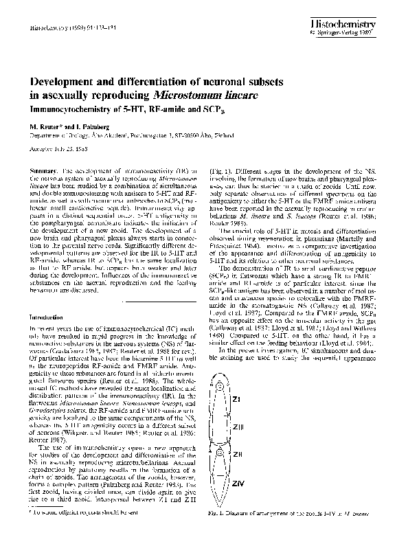 (PDF) Development and differentiation of neuronal subsets in asexually ...
