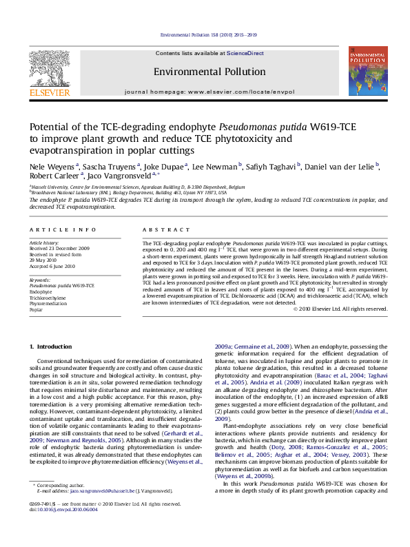 (PDF) Potential of the TCE-degrading endophyte Pseudomonas putida W619 ...
