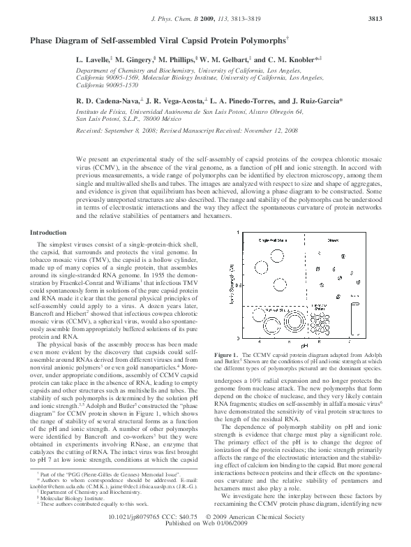 (PDF) Phase Diagram of Self-assembled Viral Capsid Protein Polymorphs