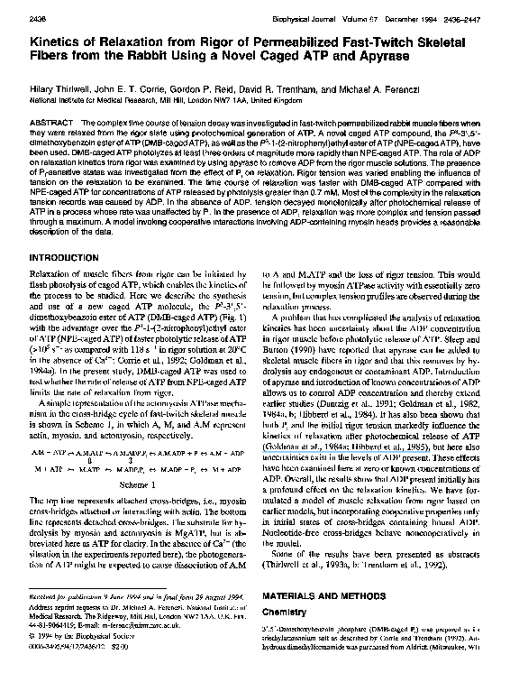 (PDF) Kinetics of relaxation from rigor of permeabilized fast-twitch ...