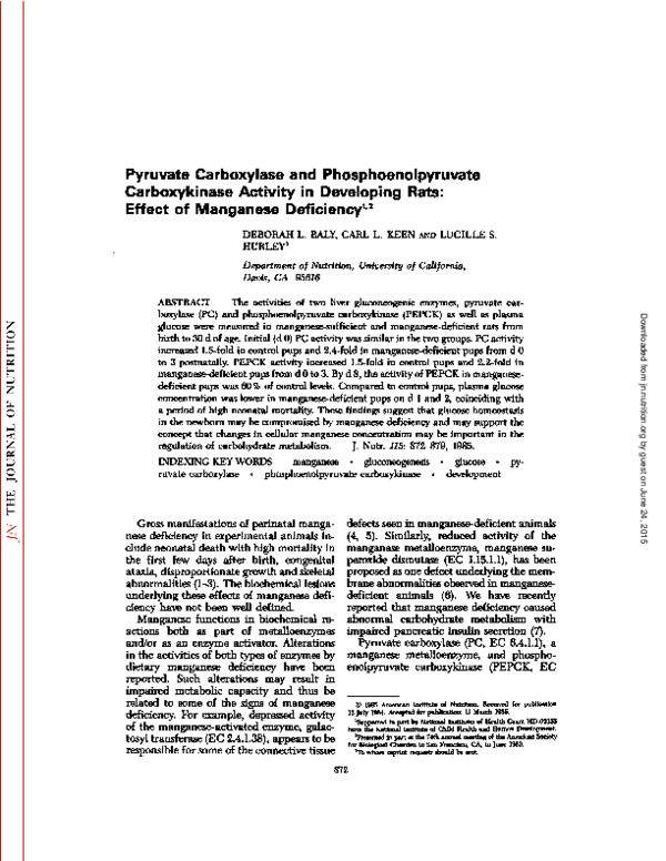 (PDF) Pyruvate carboxylase and phosphoenolpyruvate carboxykinase ...