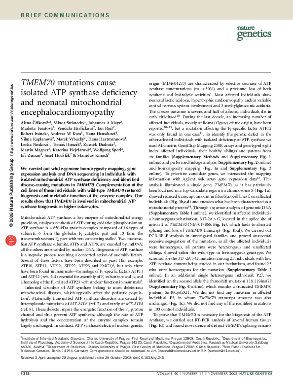 (PDF) TMEM70 mutations cause isolated ATP synthase deficiency and ...