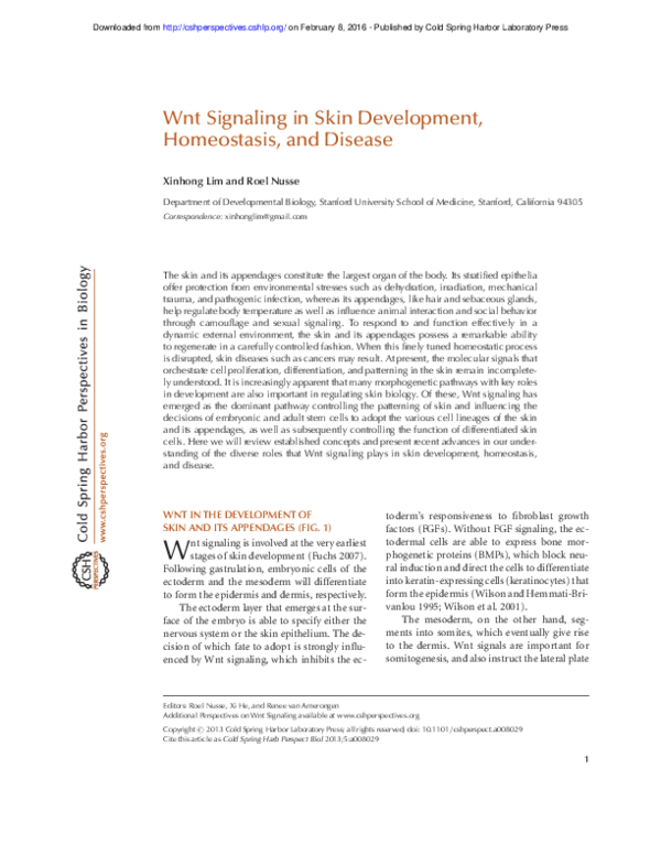 (PDF) Wnt signaling in skin development, homeostasis, and disease ...