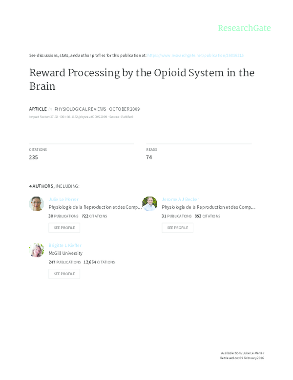 (PDF) Reward Processing by the Opioid System in the Brain