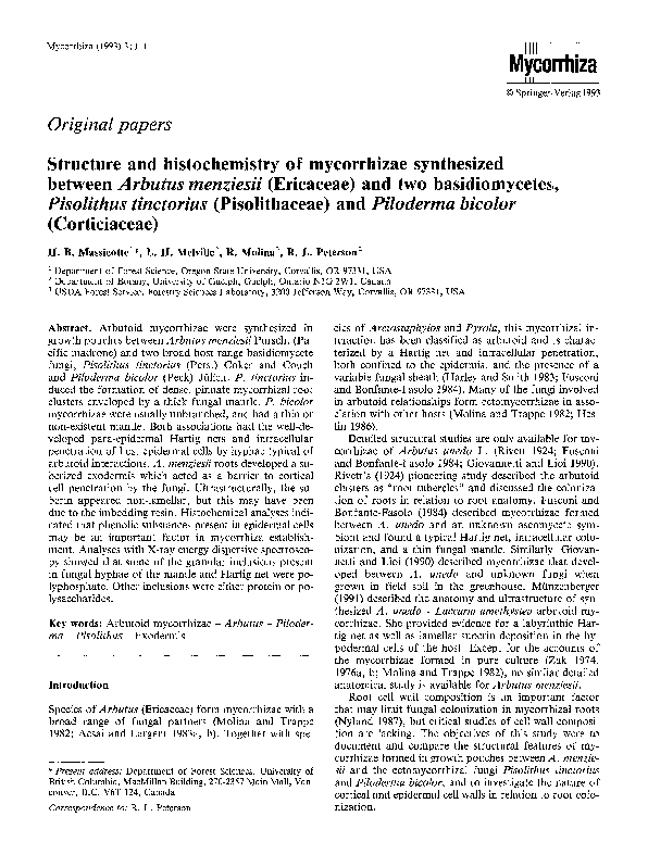 (PDF) Structure and histochemistry of mycorrhizae synthesized between ...