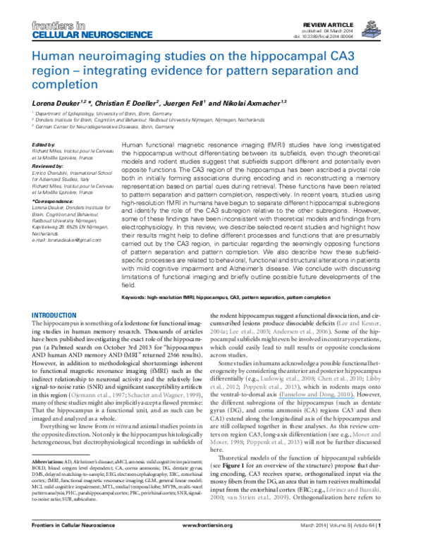 (PDF) Human neuroimaging studies on the hippocampal CA3 region â€“ integrating evidence for ...
